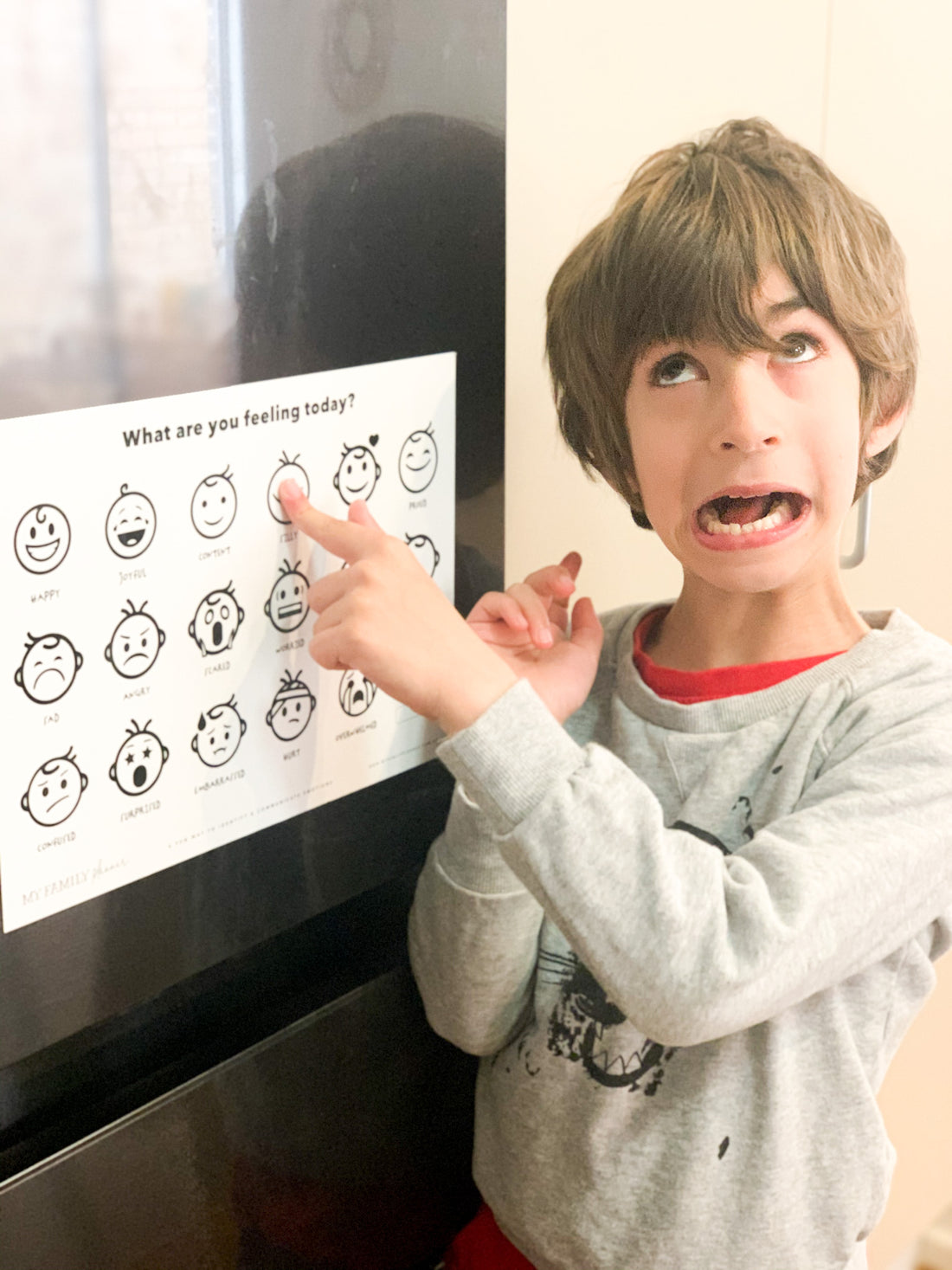 Magnetic Feelings Chart – My Family Planner